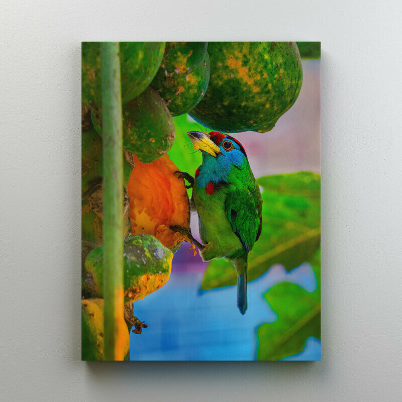 Интерьерная картина на холсте "Весенний висячий попугайчик", размер 30x40 см
