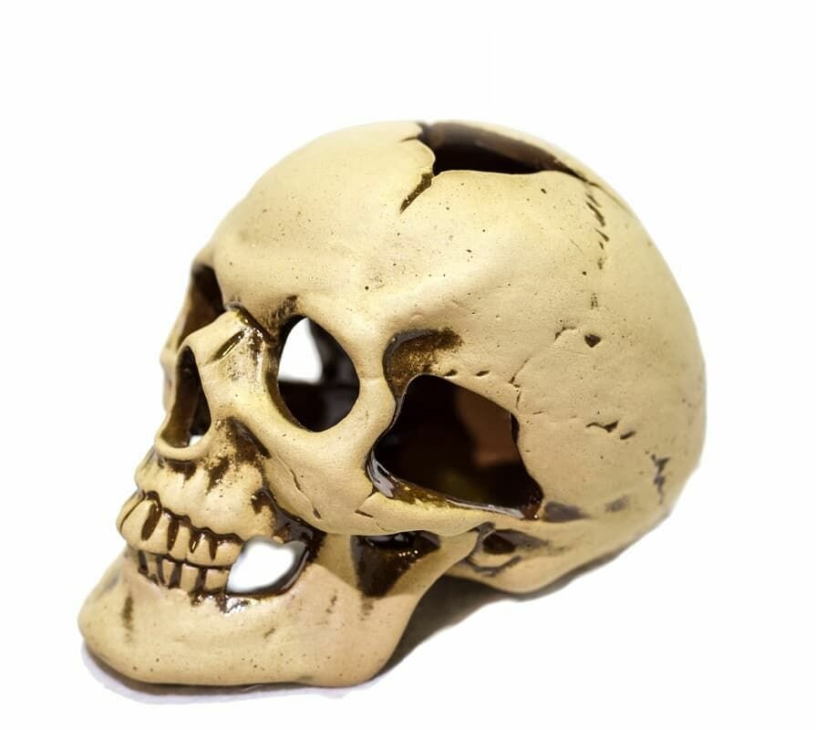 Декорация из терракотовой глины "Череп средний"