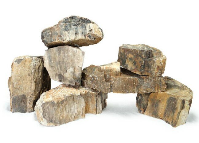 Набор камней Gloxy "Окаменелое Дерево", разные размеры, ландшафтный дизайн, 20 кг.