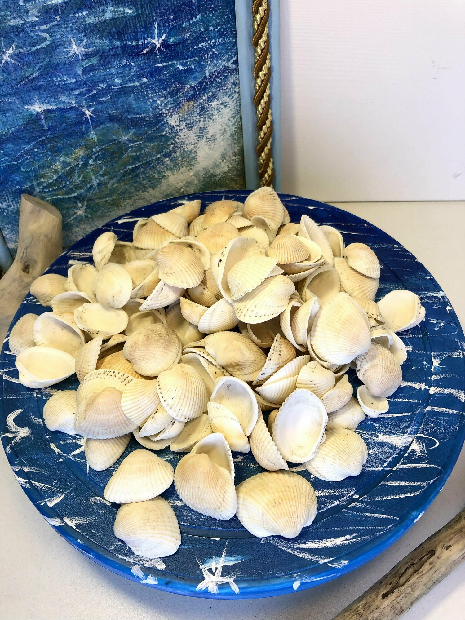 Азовская отборная ракушка 500гр 2- 4,5см./для творчества/для аквариума/Кардиум или сердцевидка