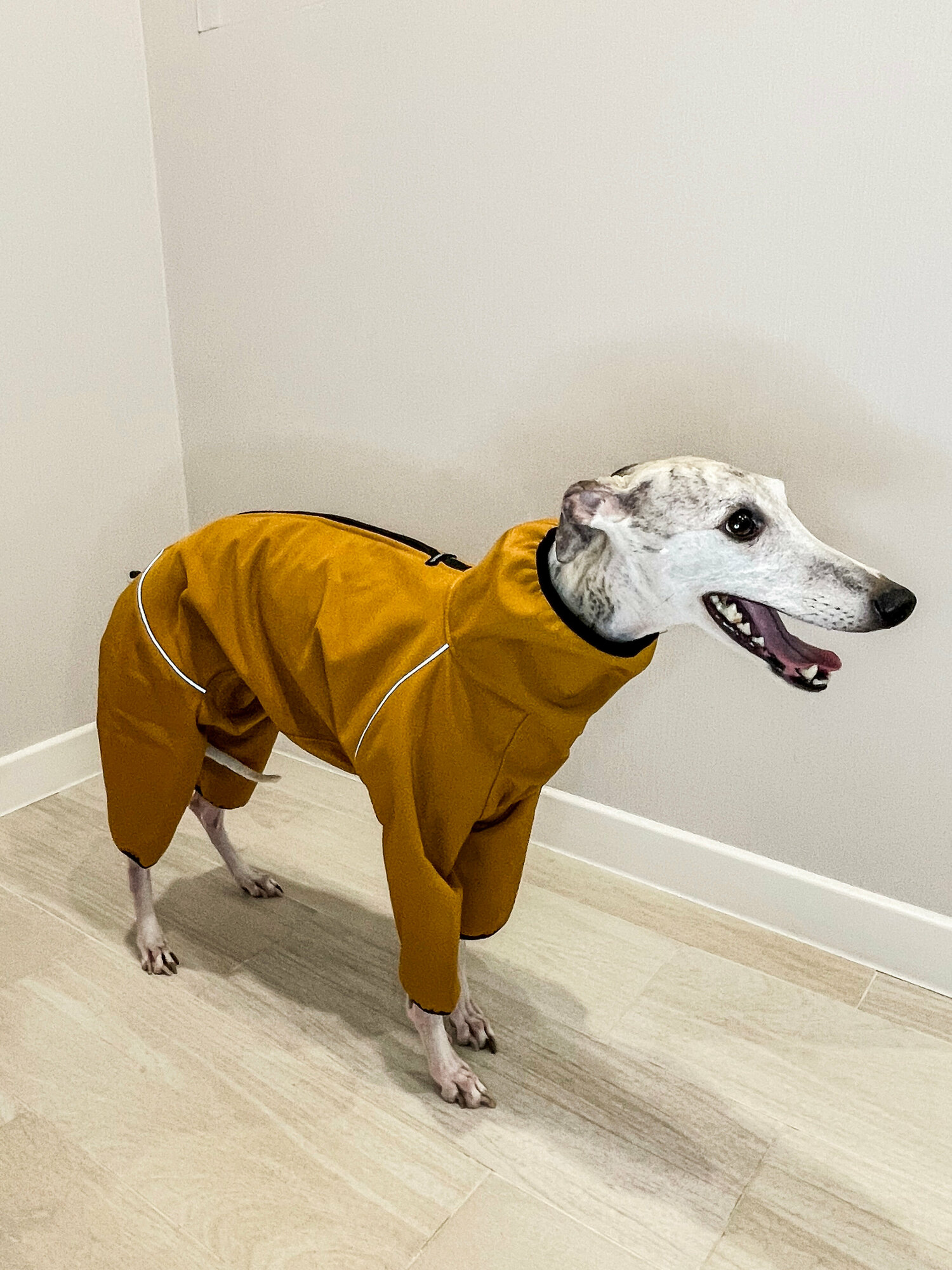 Демисезонный комбинезон для собак пород Уиппет, горчичный, размер М2