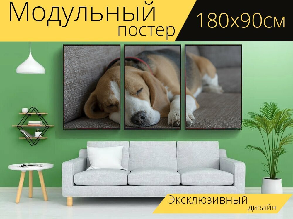 Модульный постер "Гончая, собака, щенок" 180 x 90 см. для интерьера