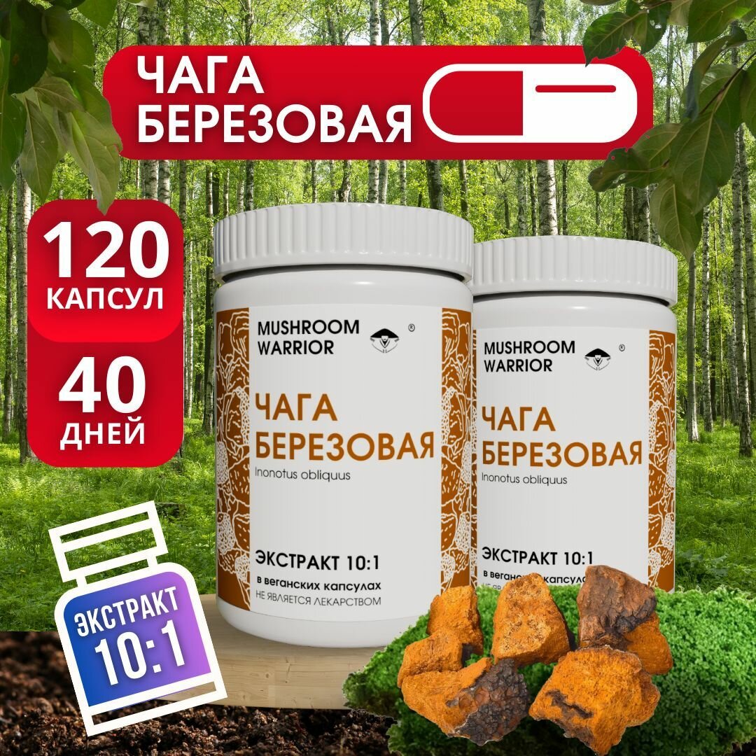 Чага Березовая дробный экстракт 10:1, 2 х 60 капсул, для ЖКТ, Mushroom Warrior, комплексная пищевая добавка