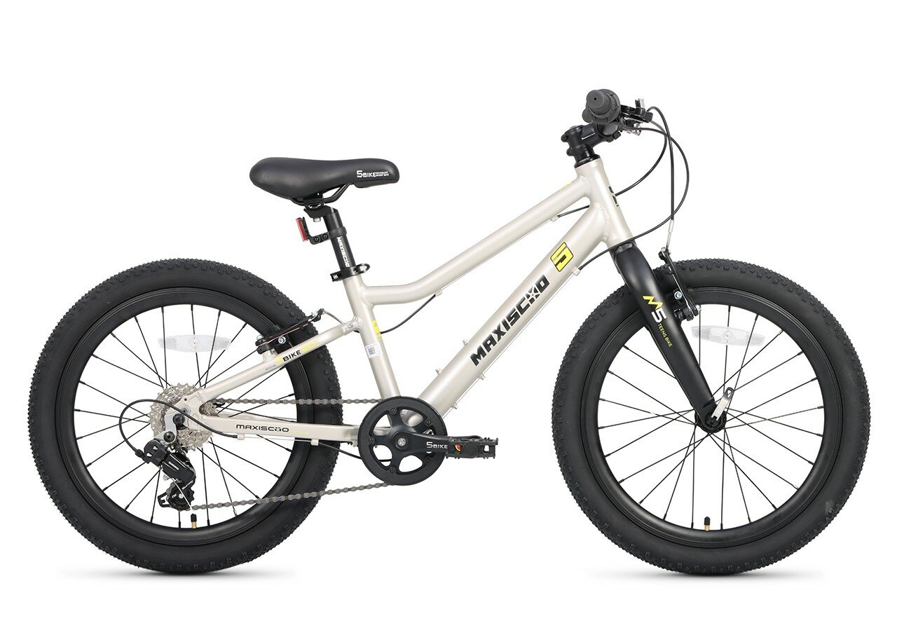 Детский велосипед Maxiscoo 5Bike 20 L200, год 2025, цвет Серый
