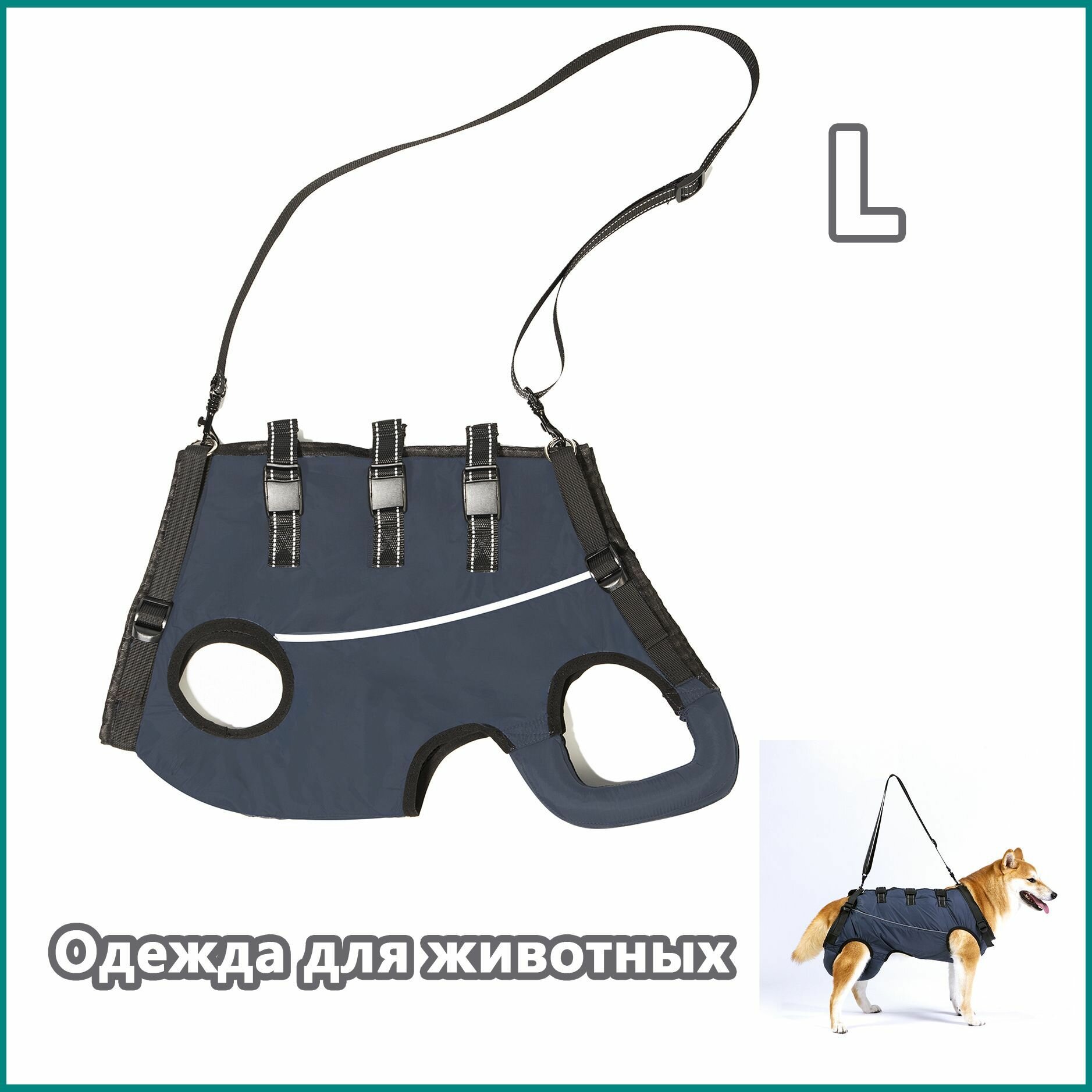 Автобокс для животных