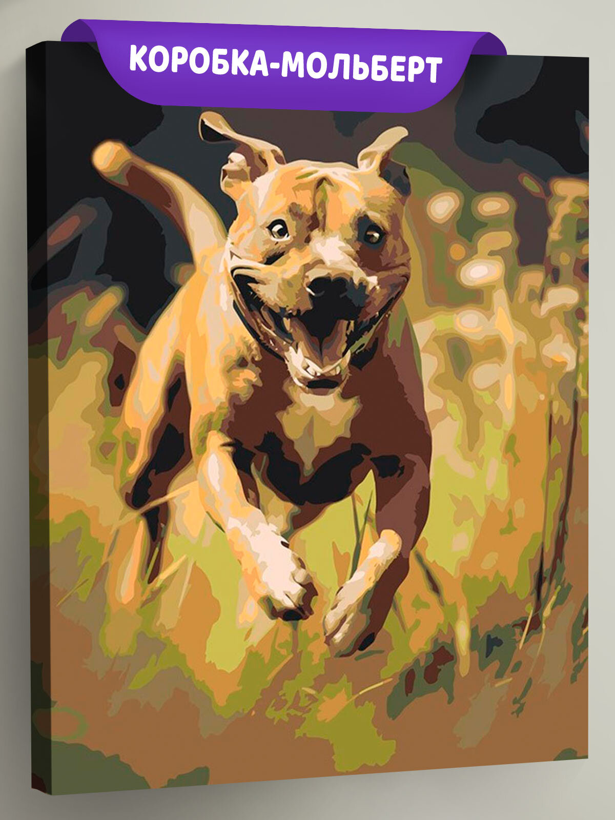 Картина по номерам на холсте с подрамником "Собака Стаффорд (Стаффордширский терьер)" Раскраска 40х50 см, Животные