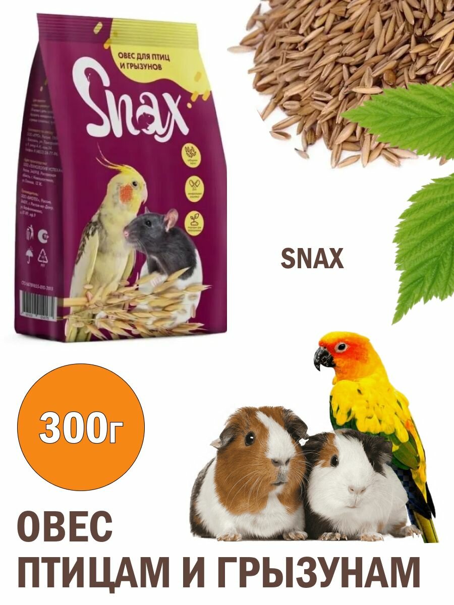 Snax Овес для птиц и грызунов 300г