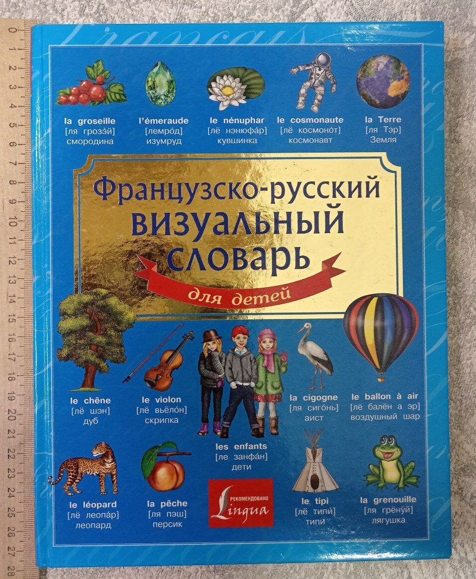 Французско-русский визуальный словарь для детей