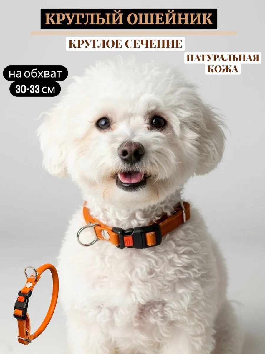 Dogbond Ошейник для шпица круглый кожаный 30-33 см