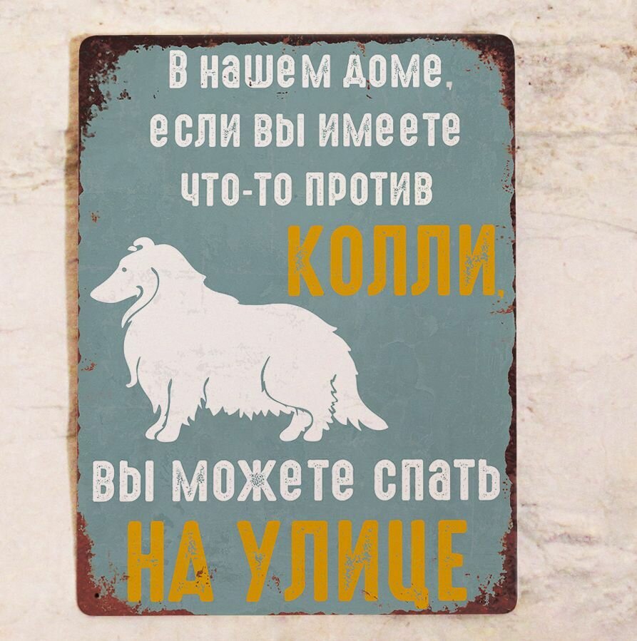 Металлическая табличка для тех, кто любит колли, прикольный подарок владельцу собаки , металл, 20х30см.
