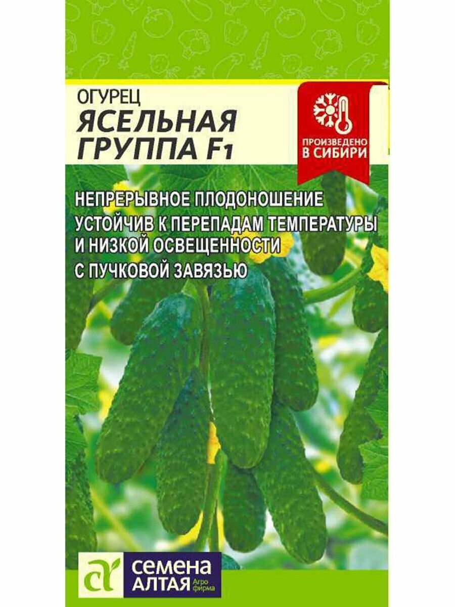 Семена Огурца "Ясельная группа" F1 (5 семян)