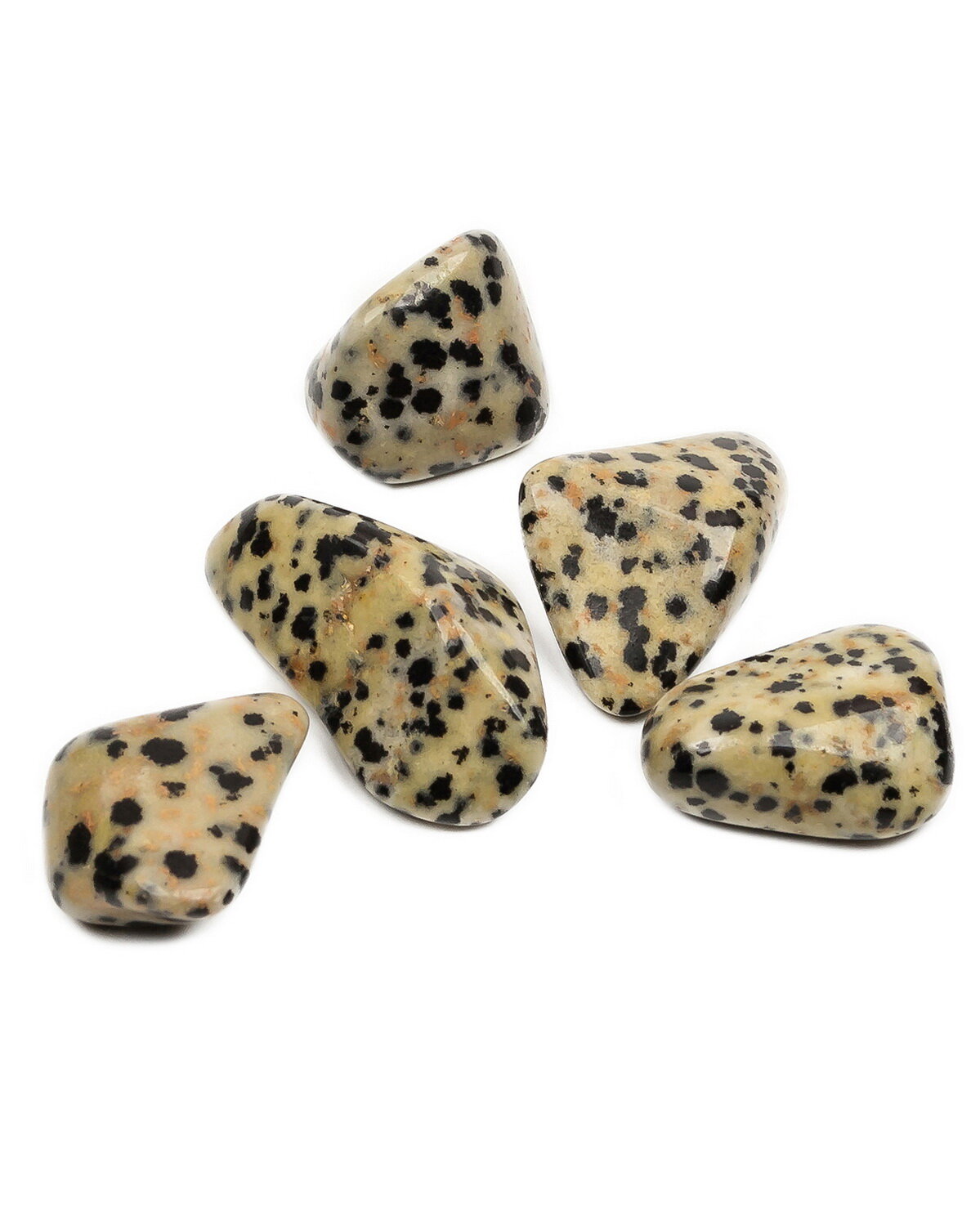 Камень Яшма далматиновая М, 5 шт. , натуральный минерал в коллекцию.