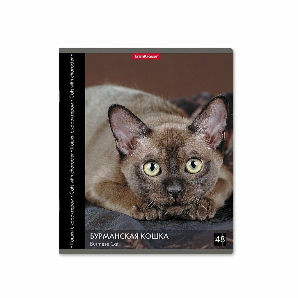 Тетрадь общая ученическая ErichKrause Энциклопедия, Кошки с характером, 48 листов, клетка, 5 шт