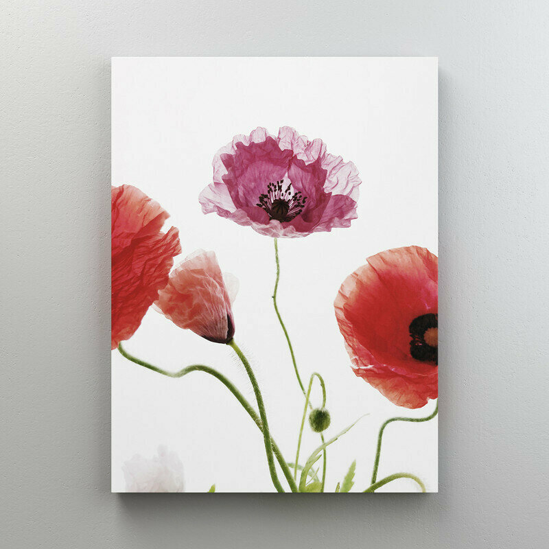 Интерьерная картина на холсте "Цветы - нарисованные маки" размер 30x40 см