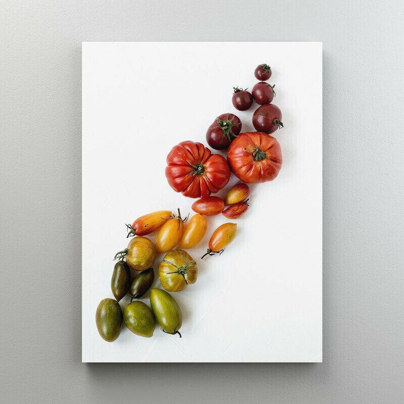 Интерьерная картина на холсте "Разноцветные томаты", размер 22x30 см