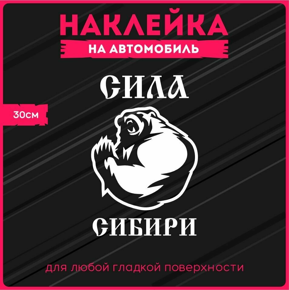 Наклейки на авто стикеры Сила Сибири 30х20 см