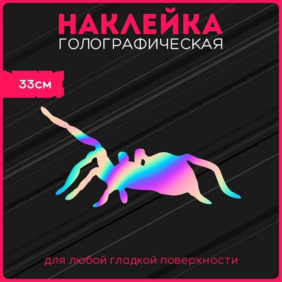 Наклейки на авто стикеры светоотражающие паук тарантул андер, красникова, наклейка тюнинг, на автомобиль, машину, прикольные