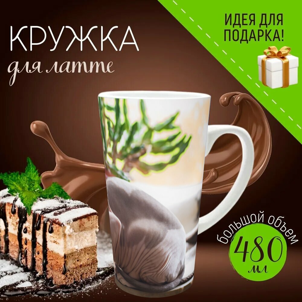 Кружка латте керамическая большая для чая и кофе с прикольным принтом "Канадский сфинкс, кошка, кошки" 500 мл.