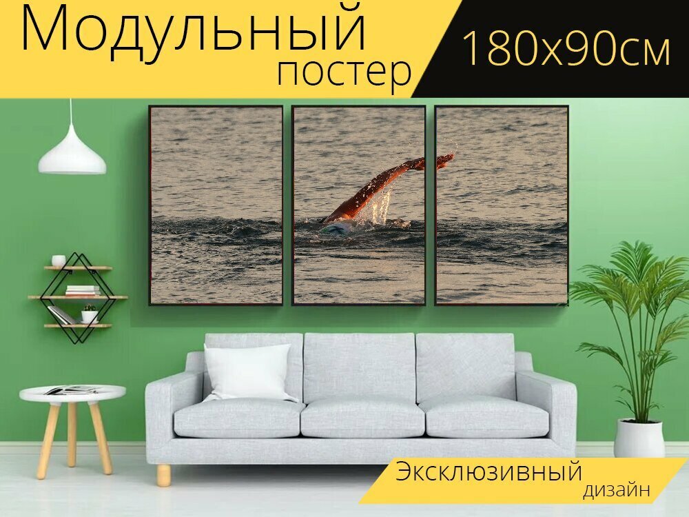 Модульный постер "Плавать, пловец, виды спорта" 180 x 90 см. для интерьера