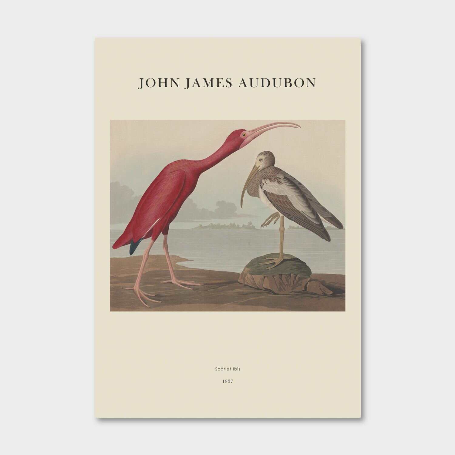Постер для интерьера Postermarkt, J.J.Audubon №4, 70х100 см