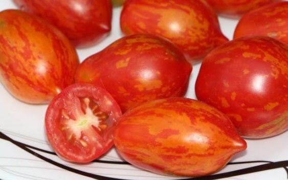 Коллекционные семена томата Бешенная полосатая груша