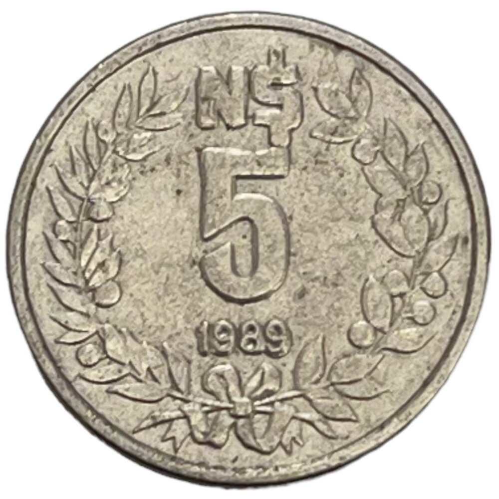 Уругвай 5 новых песо 1989 г.