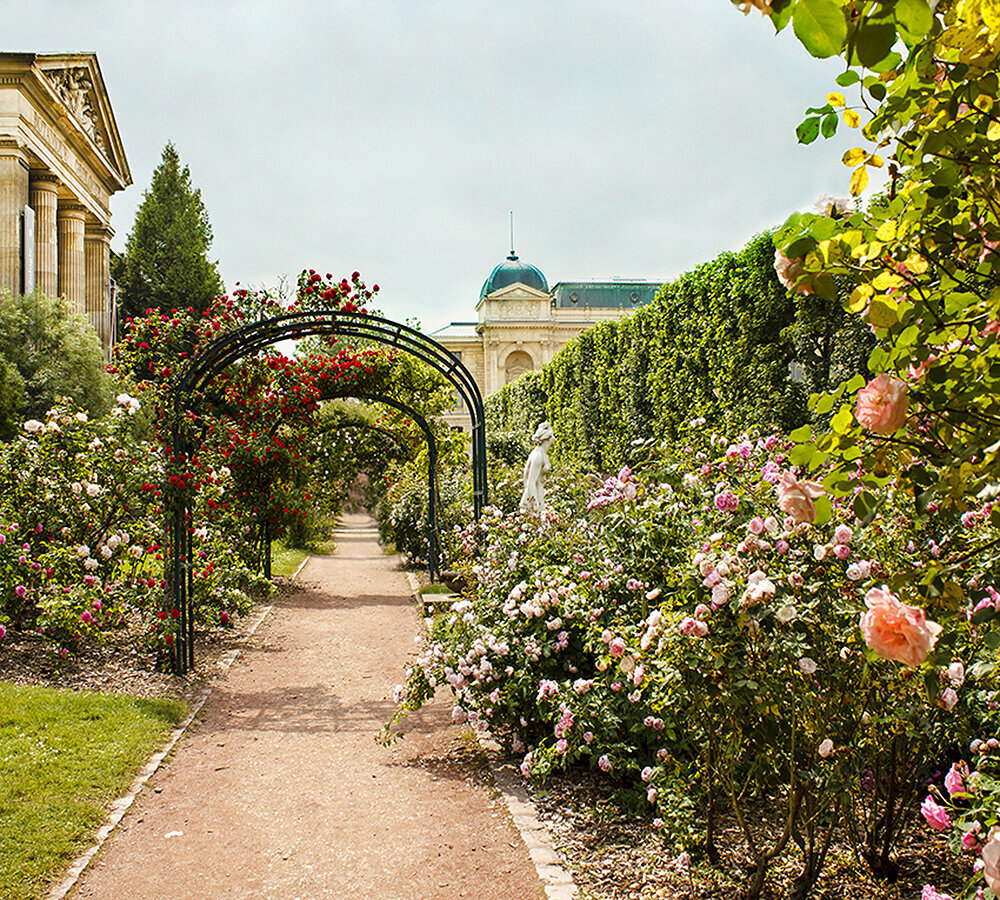 Фотообои Divino Decor "Прогулка по саду" В-010 300*270 фактура холст