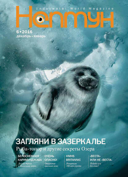 Нептун №6/2016 [Цифровая книга]