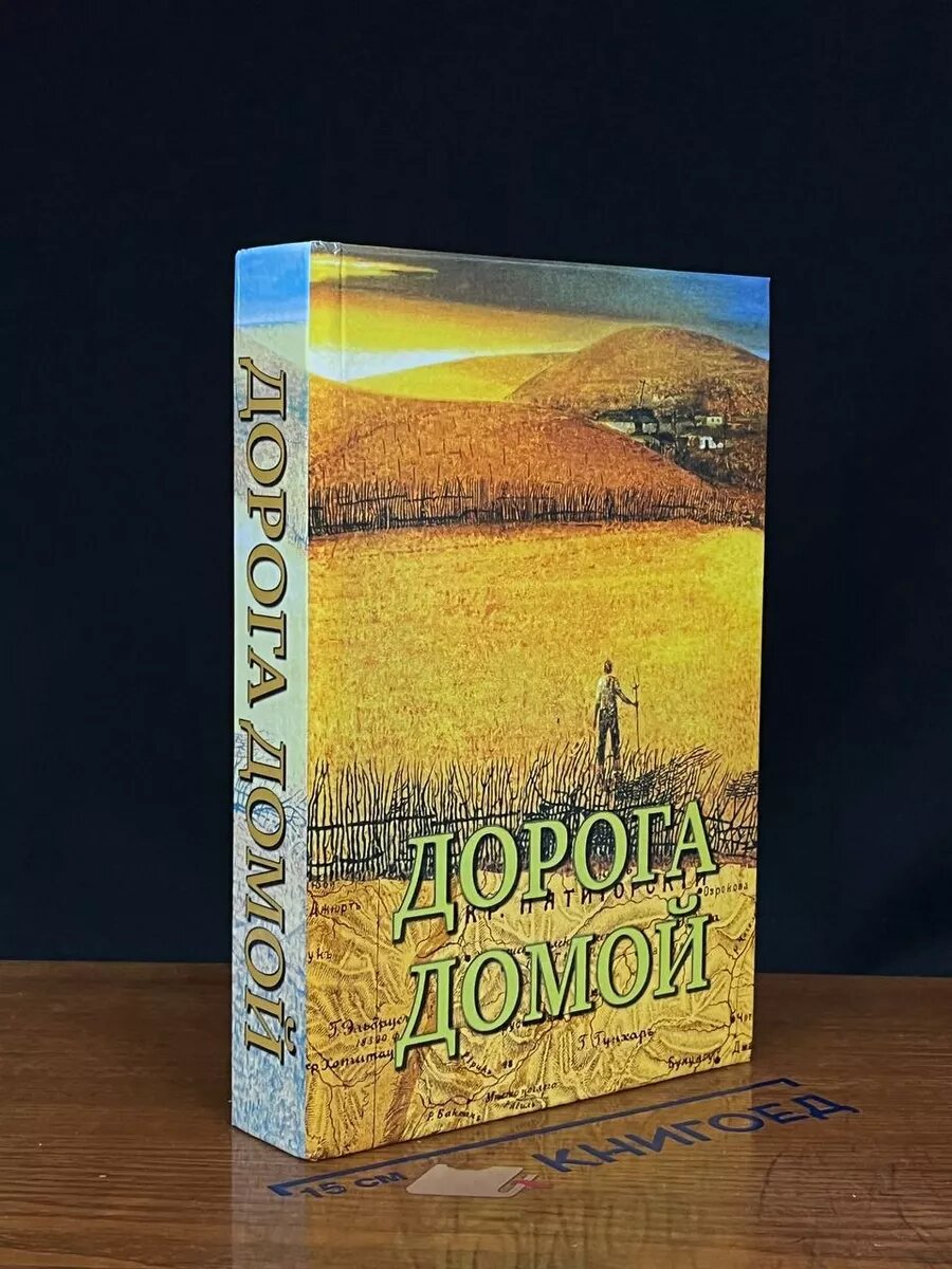 Книга. Дорога домой 2011 (2040823446744)