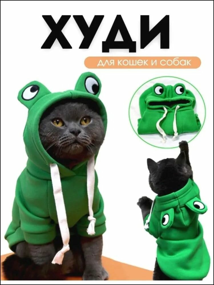 Толстовка худи для собак и кошек лягушка