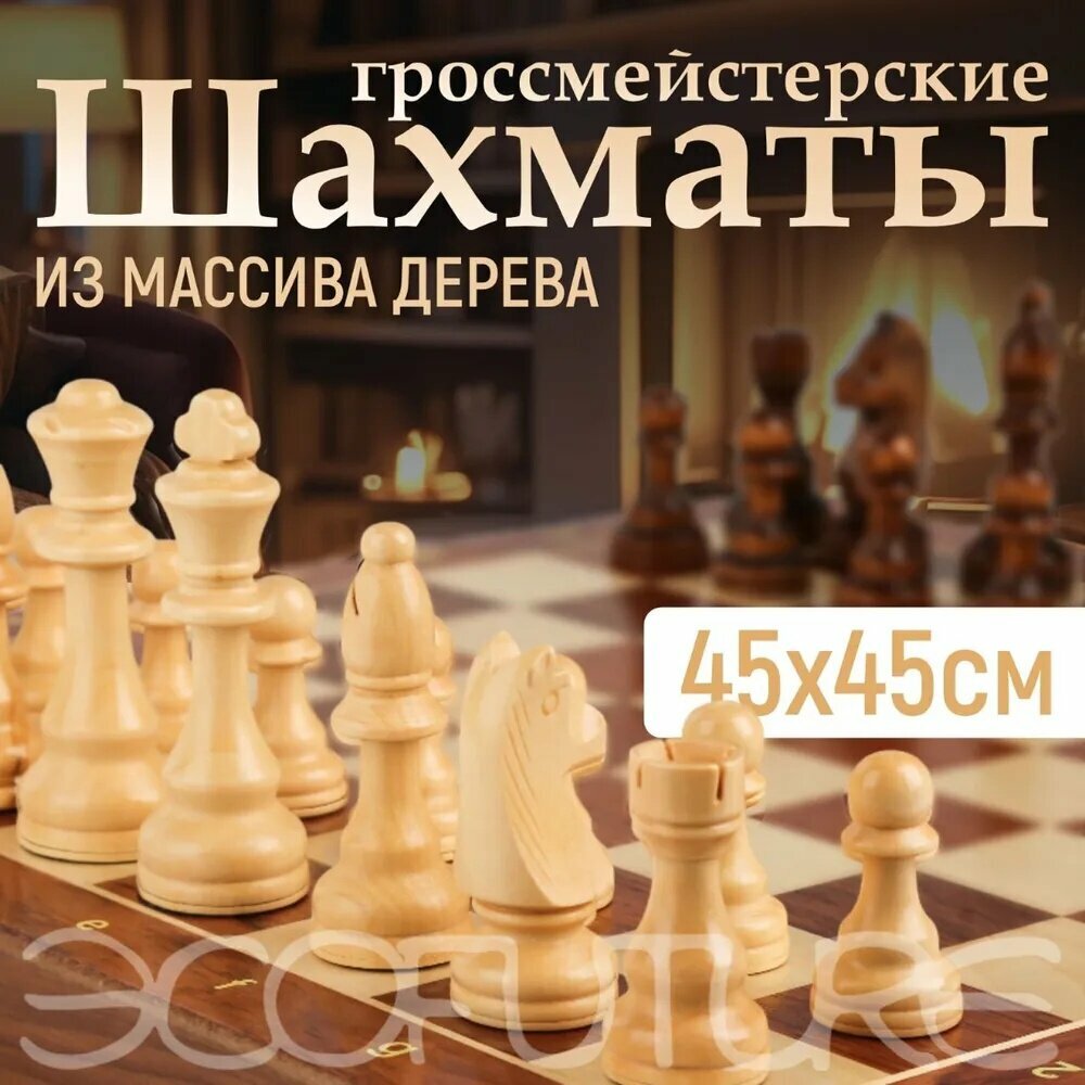 Шахматы