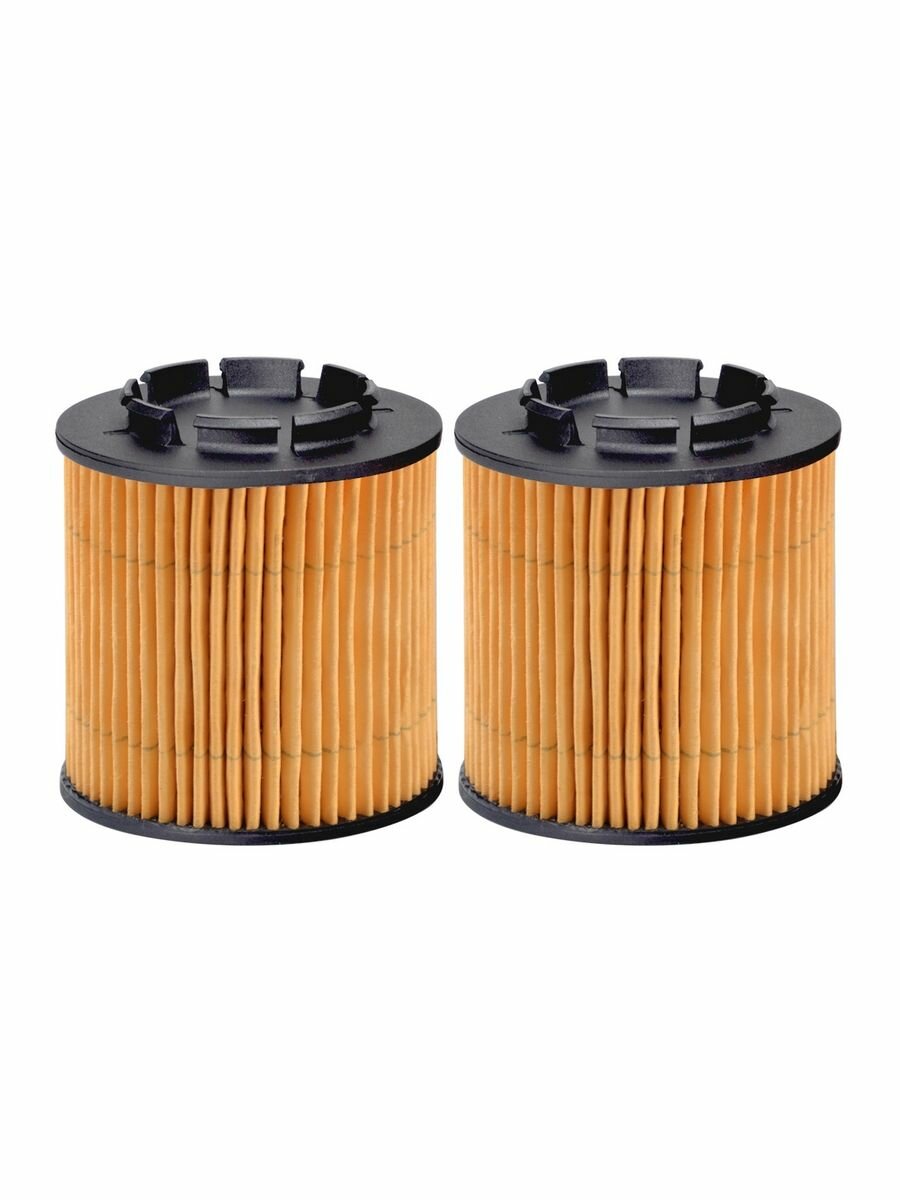 Фильтр топливный (2 шт.) Sakura EF65020S для Chevrolet Captiva, Jeep Cherokee / Шевроле Каптива, Джип Чероки