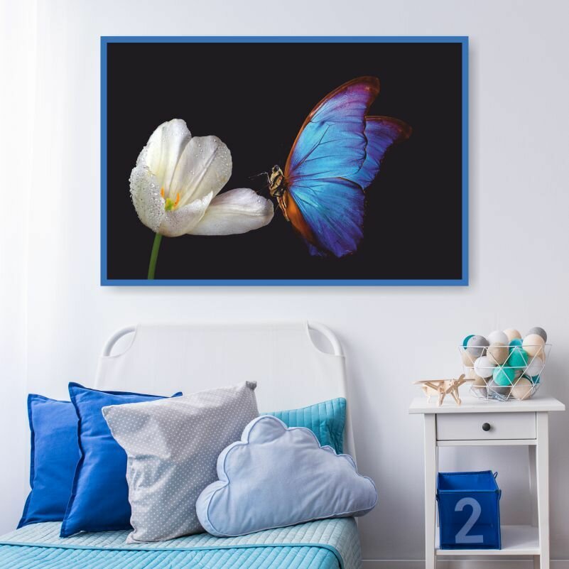 Постер для интерьера Синяя Бабочка На Белом Цветке 40х30 см в тубусе ПолиЦентр