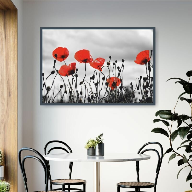Постер для интерьера на стену Красные Маки На Черно-Белом Фоне 70х50 см в тубусе ПолиЦентр