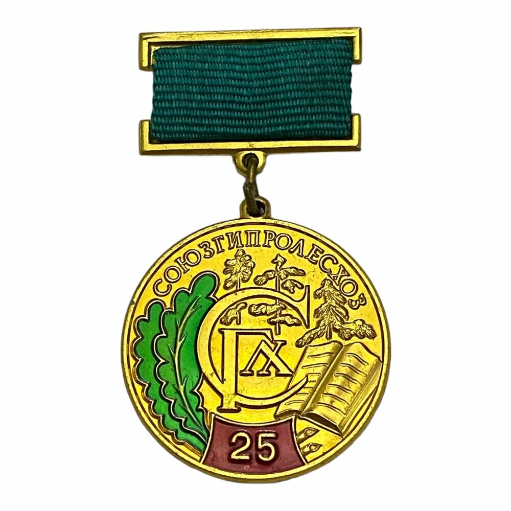 Знак "Союзгипролесхоз 25 лет" СССР 1989 г.