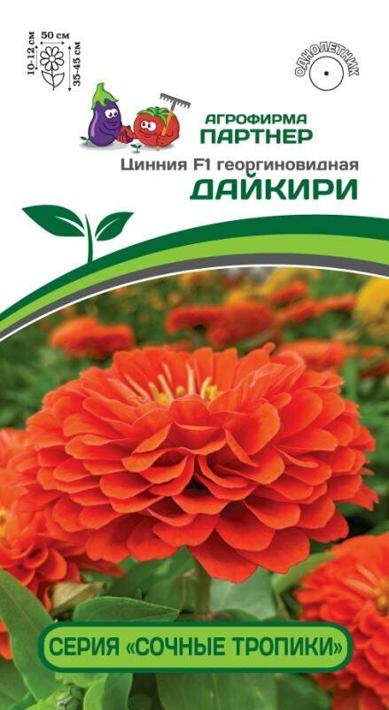 Семена Циннии георгиновидной "Дайкири" F1 серия "Сочные тропики" (4 сем.)