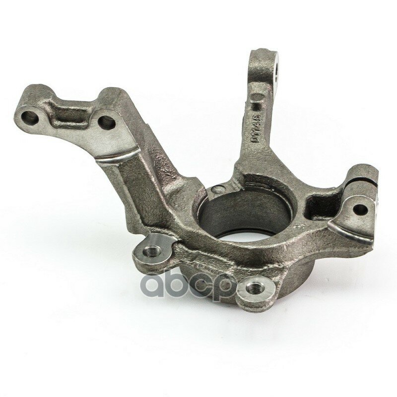 Кулак поворотный правый, RE60001548867 Renault DOMINANT арт. RE60001548867