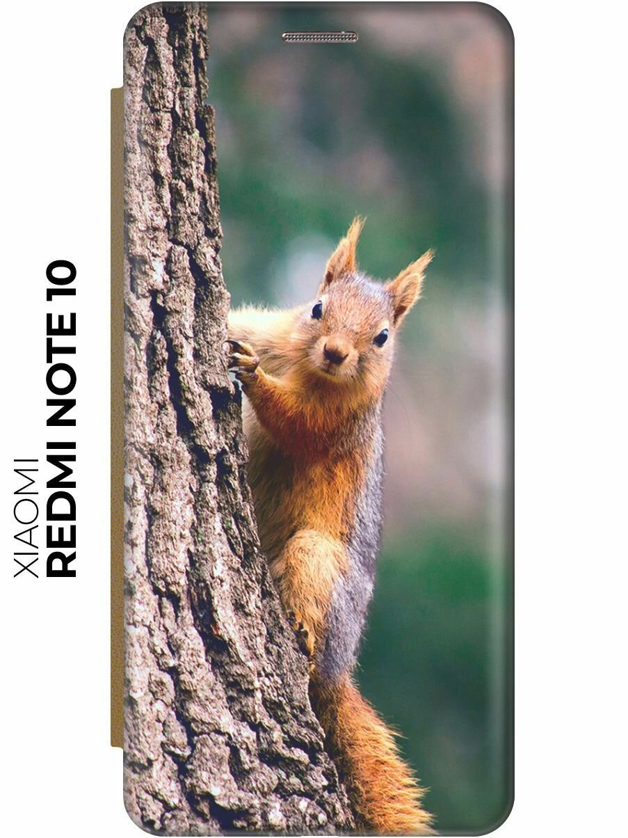 Чехол-книжка Белочка на Xiaomi Redmi Note 10 / Note 10S / Poco M5s / Сяоми Редми Ноут 10 / Ноут 10С / Поко М5с золотой