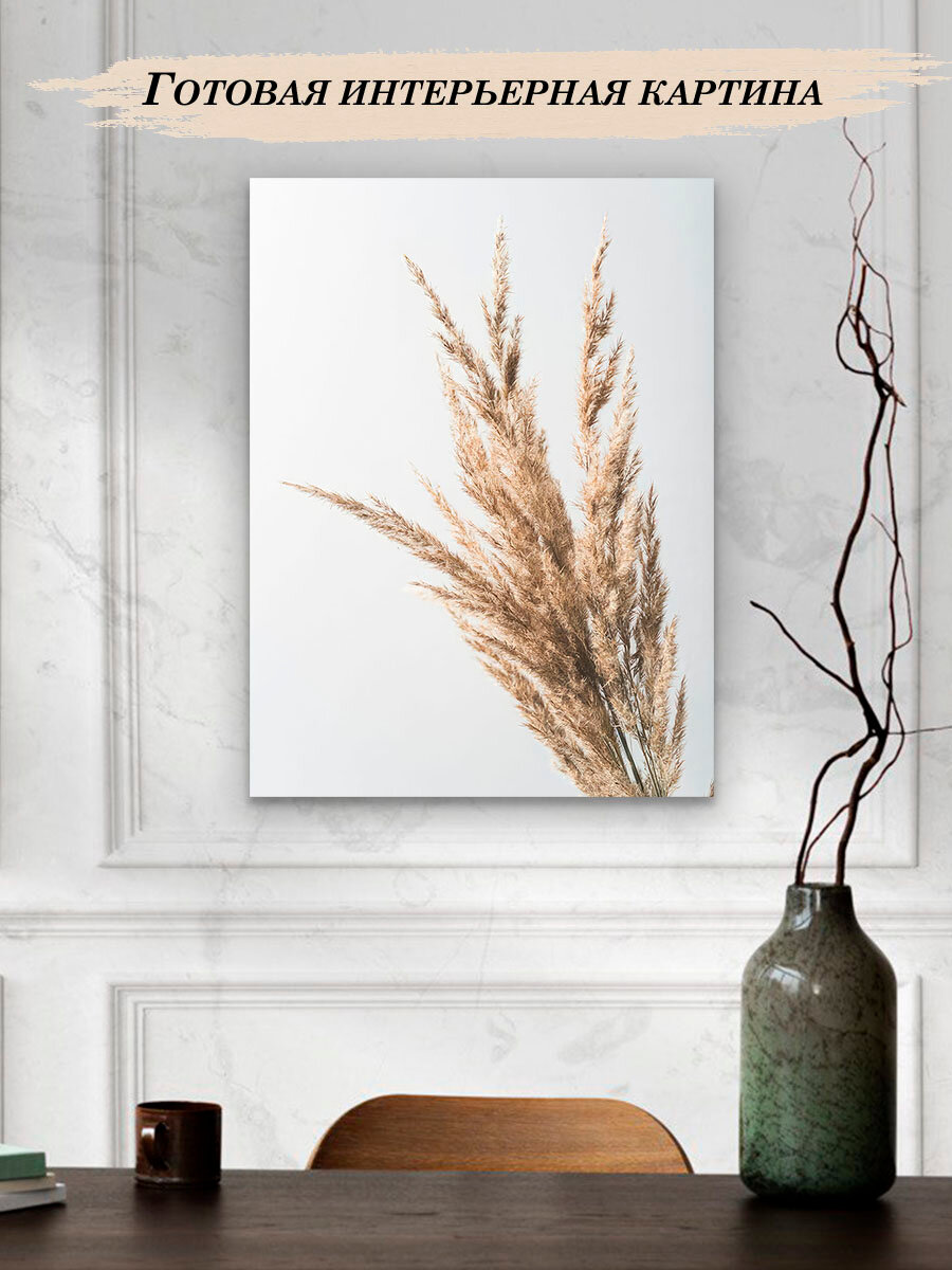 Картины для интерьера 30х40 Сухоцвет трава белый фон
