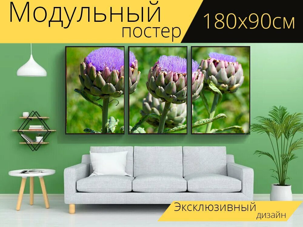 Модульный постер "Артишоки, цвести, овощи" 180 x 90 см. для интерьера