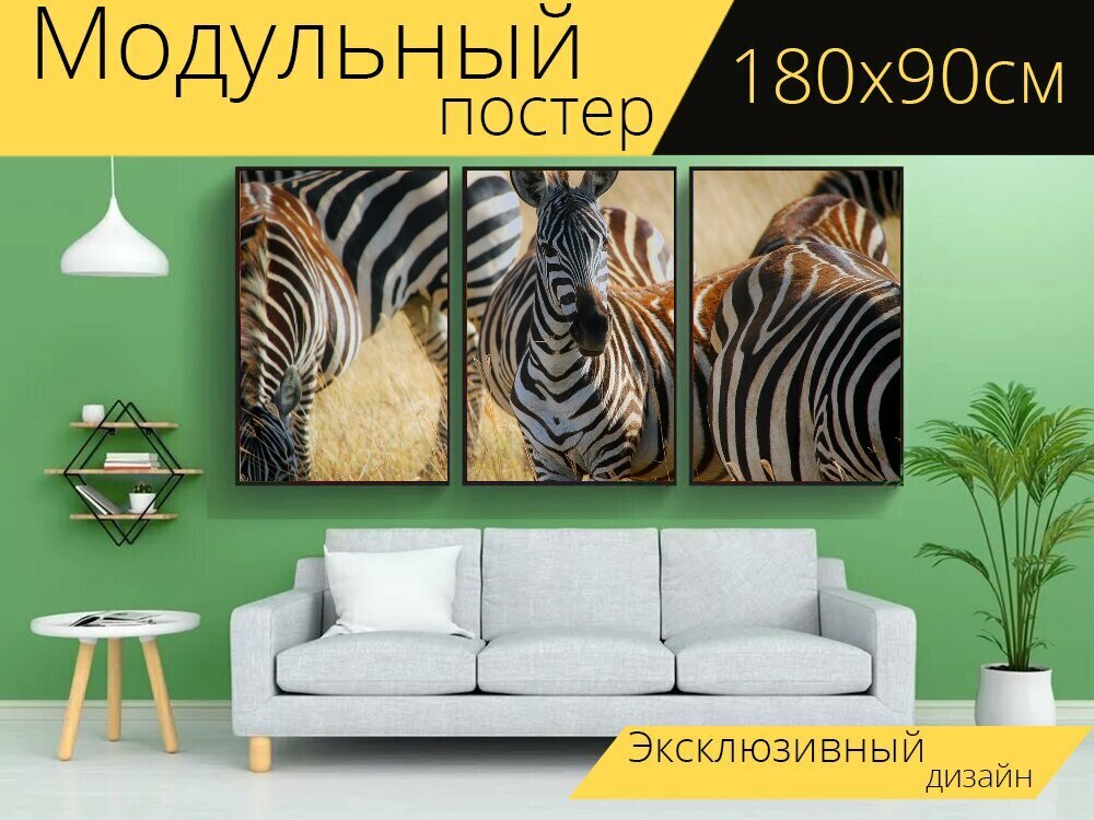 Модульный постер "Африка, зебры, стадо" 180 x 90 см. для интерьера