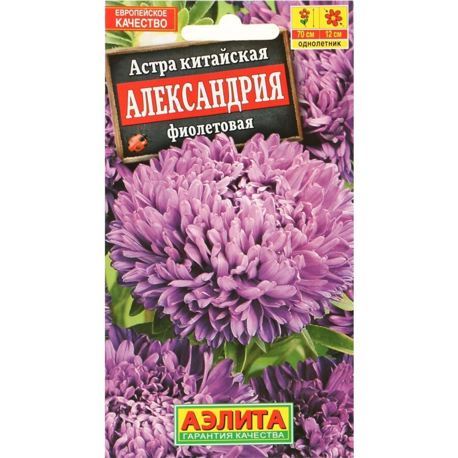 Астра Александрия фиолетовая 0,1г (Аэлита)