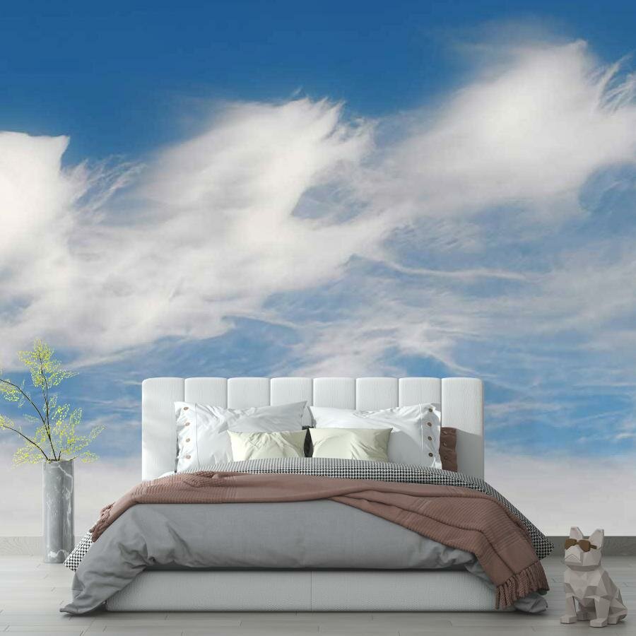 Фотообои Продолговатые облака 9-322-M-Холст 270 x 300 см (ВхШ) Бесшовные, флизелиновые, влагостойкие обои