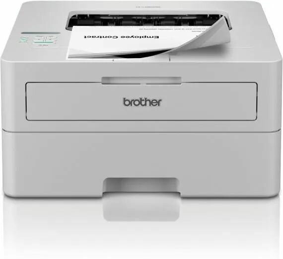 Монохромный лазерный принтер Brother HL-L2865DW