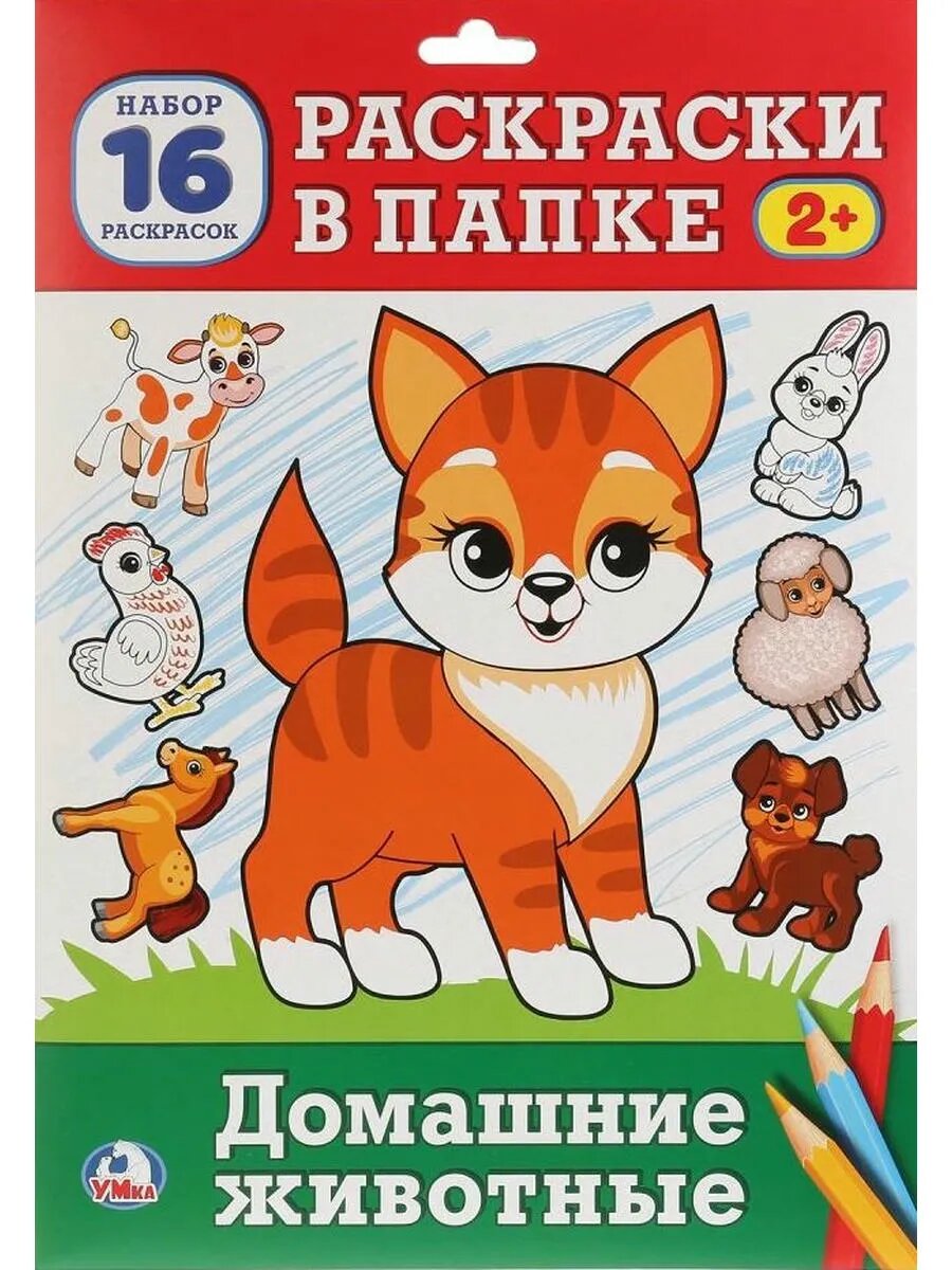 Домашние животные. Раскраска в папке