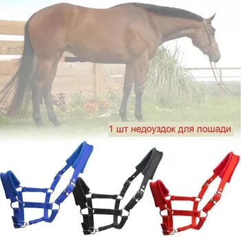 Уздечка для лошади