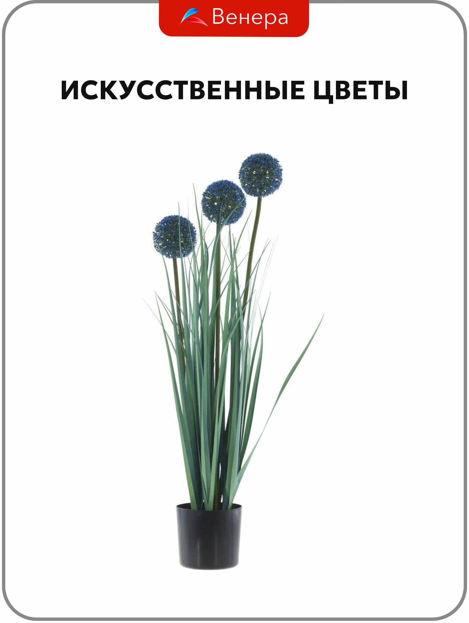 Цветочная композиция Аллиум, 12,5х12,5х79 см Венера