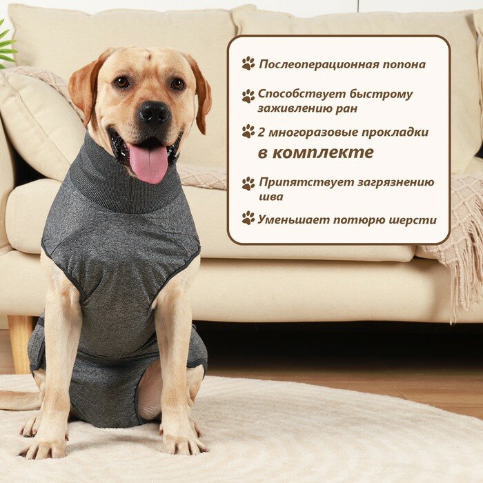 Пижон Попона послеоперационная, полиэстер+спандекс, XS (ОГ 45-54, от 33-38 см, вес 14-20 кг)