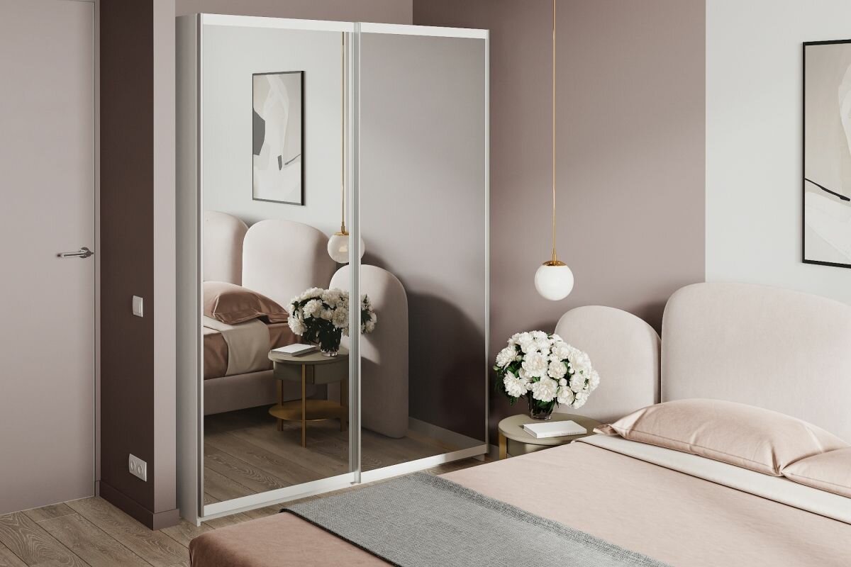 Шкаф-купе Реал-5 Белый для одежды с зеркалом двухдверный 110*220*55