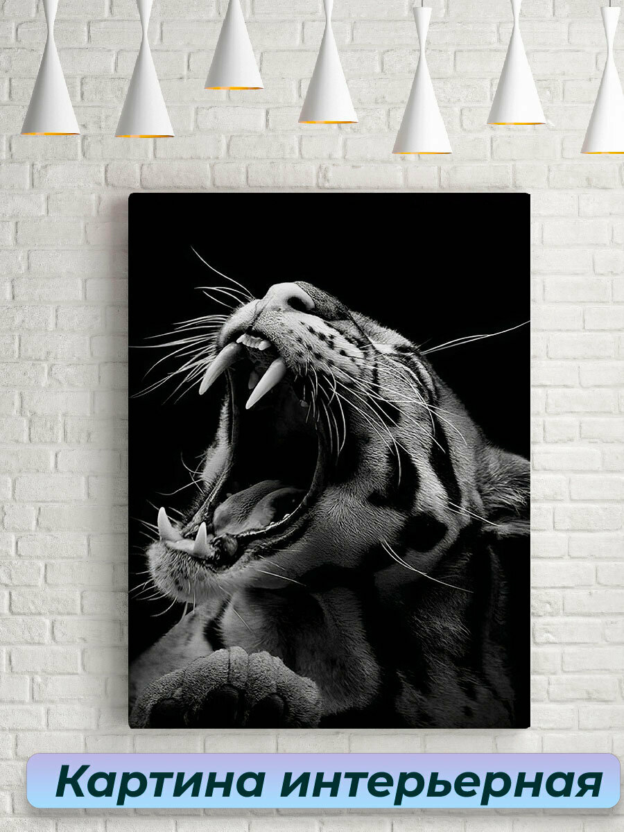 Картины для интерьера 30х40 Тигр белый арт